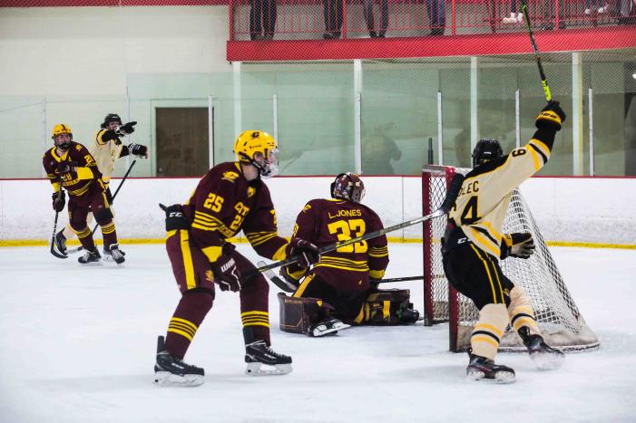Business students help Mizzou Club Hockey make history and advance to ...